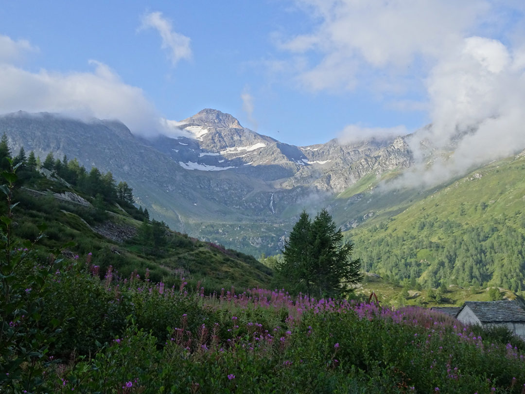 La traversée du col du Simplon par un sentier muletier historique ...